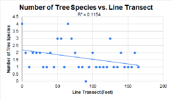 Tree Diversity – Exploring Ecology